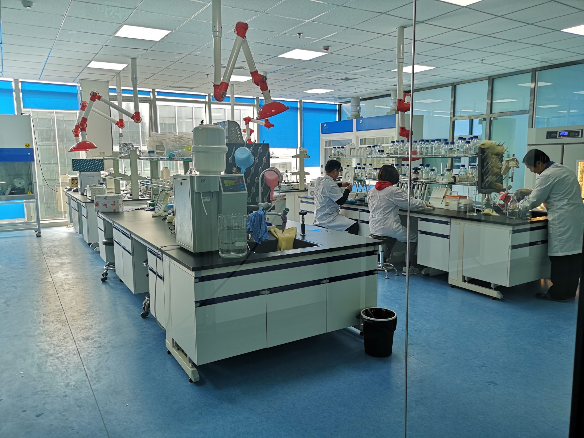 How to Tell the Gender of a Bird？ - SENO Bird DNA Test